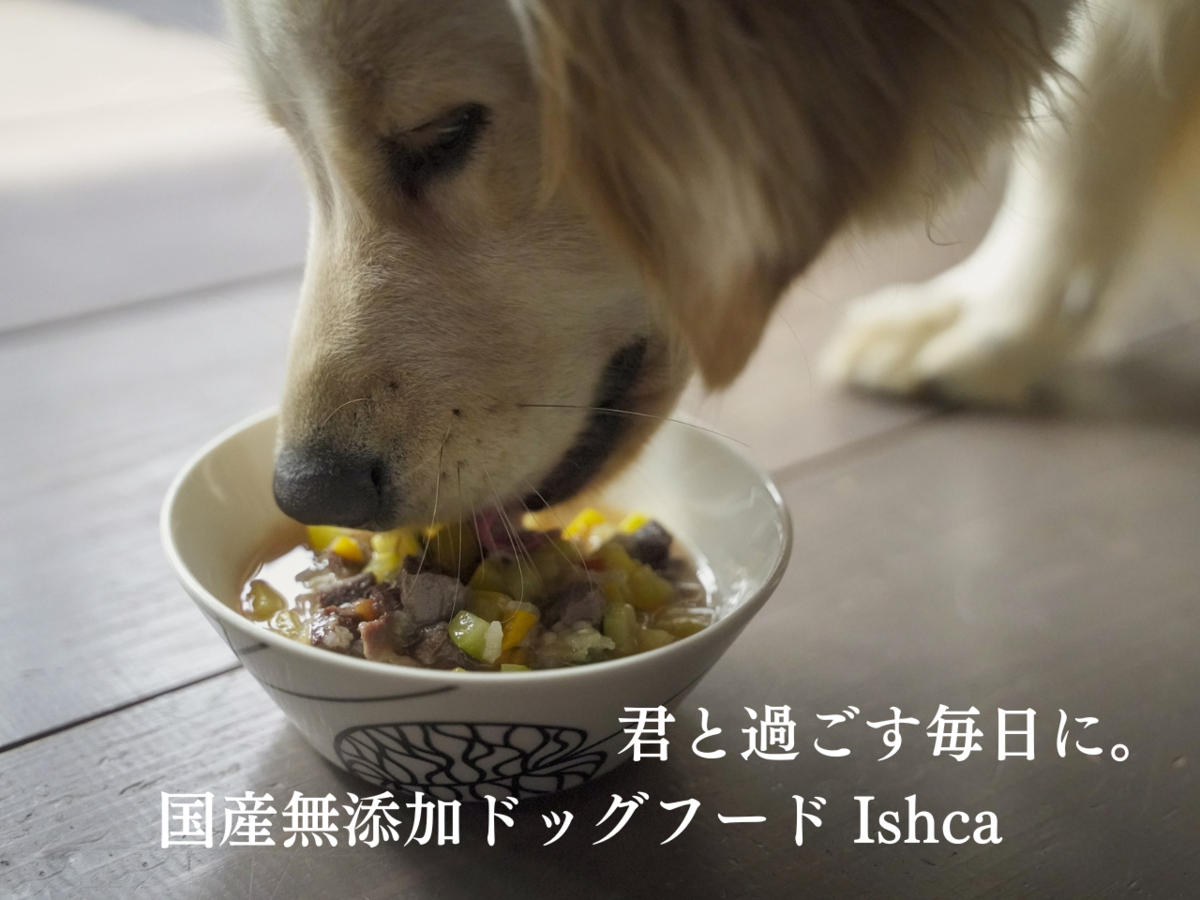 完全無添加ドッグフード Ishcaの新商品が登場！[ベーシックライン]ウェットドッグフードを11月末発売｜ニューズウィーク日本版 オフィシャルサイト