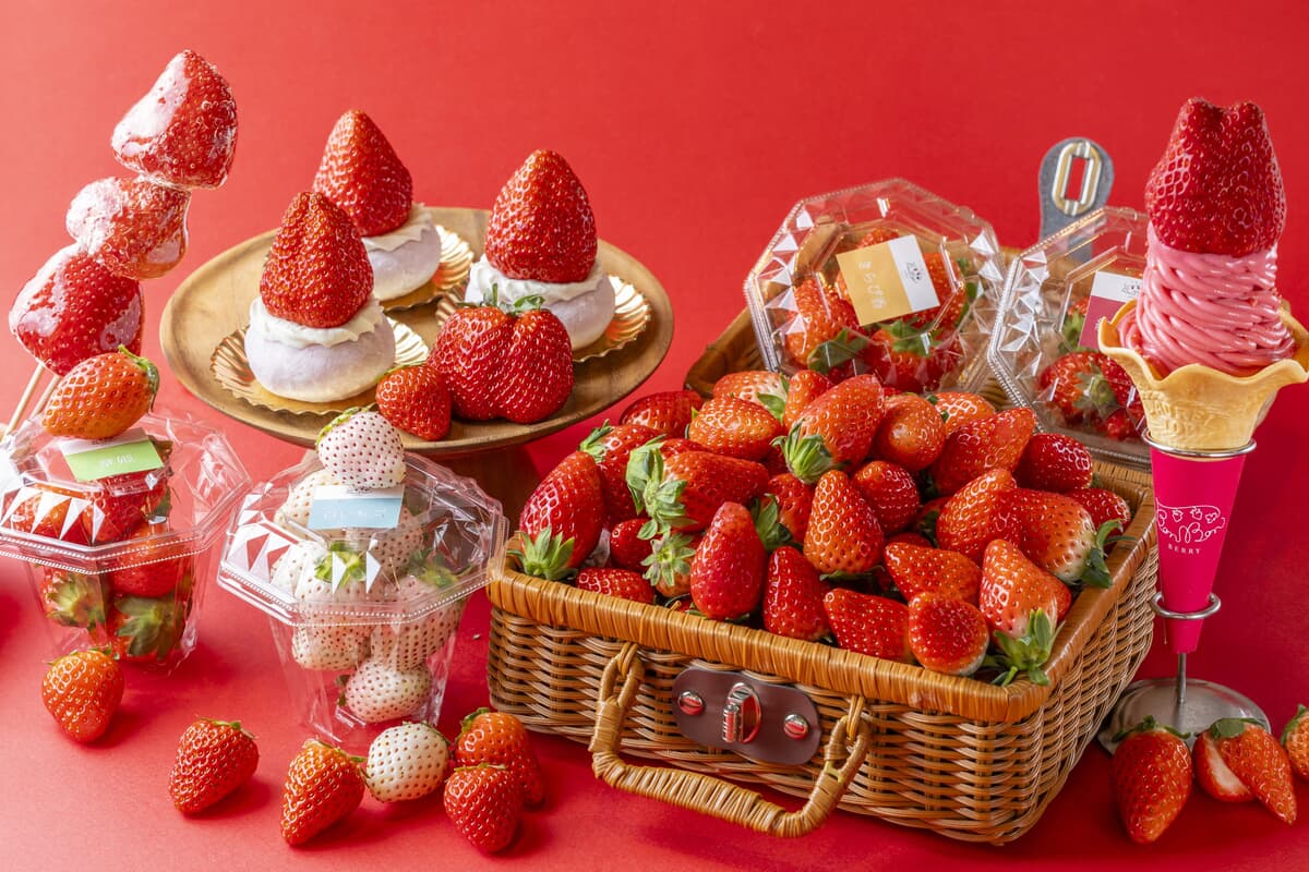 【いちご専門店 いちごBonBonBERRY】今が旬の静岡いちごを味わい尽くすいちごの祭典！いちごいっぱいの収穫祭を2月8日(土)から開催 ...